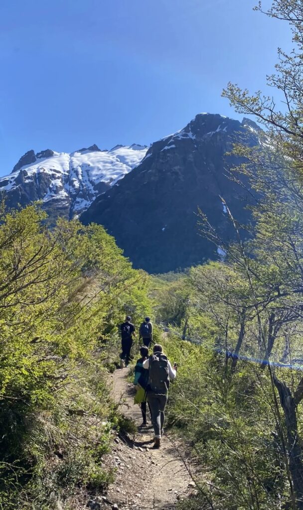 Tambo de Báez – Refugio San Martín (Laguna Jakob) - Trekking en Bariloche